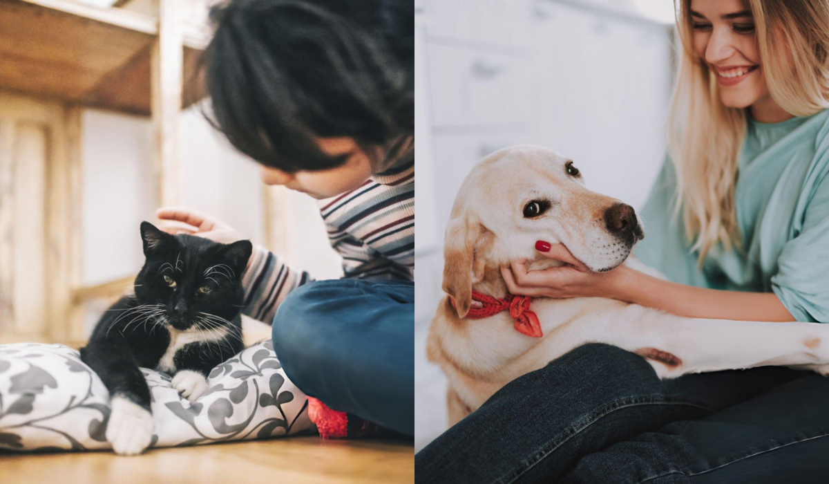 Oslo Cares: Embracing the 'Unique' Hearts of Our Dear Pets